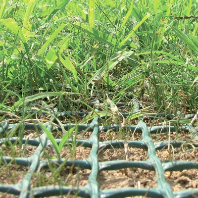 Tenax TR Turf Reinforcement 6.7' X 100' Green (64313308) | Tenax Fence